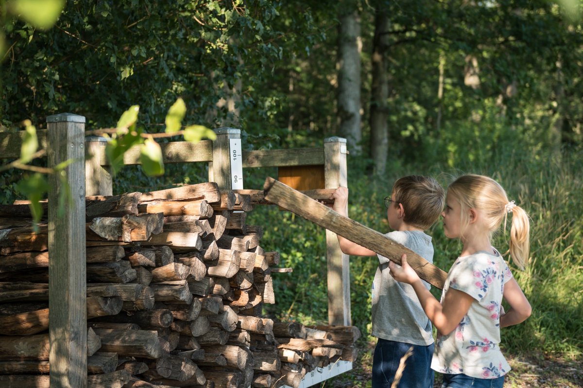 Mittelwald in Iphofen im Steigerwald–Frankens Kulturerbe